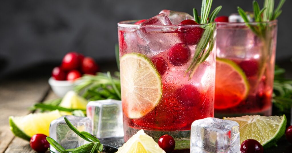 15 meilleurs cocktails de vodka aux canneberges (+ recettes faciles ...