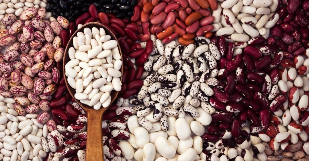17 types de haricots populaires (+ comment les utiliser) - Cakes Paradise