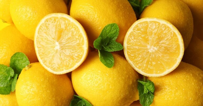 30 types différents de citrons à essayer - Cakes Paradise